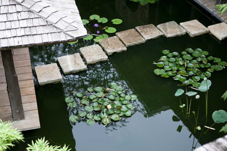 The House of Rustling Leaves by Ranke Lim is a nature lover’s eyrie