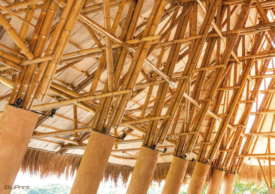 Top 4 Sustainable Local Materials in the Philippines