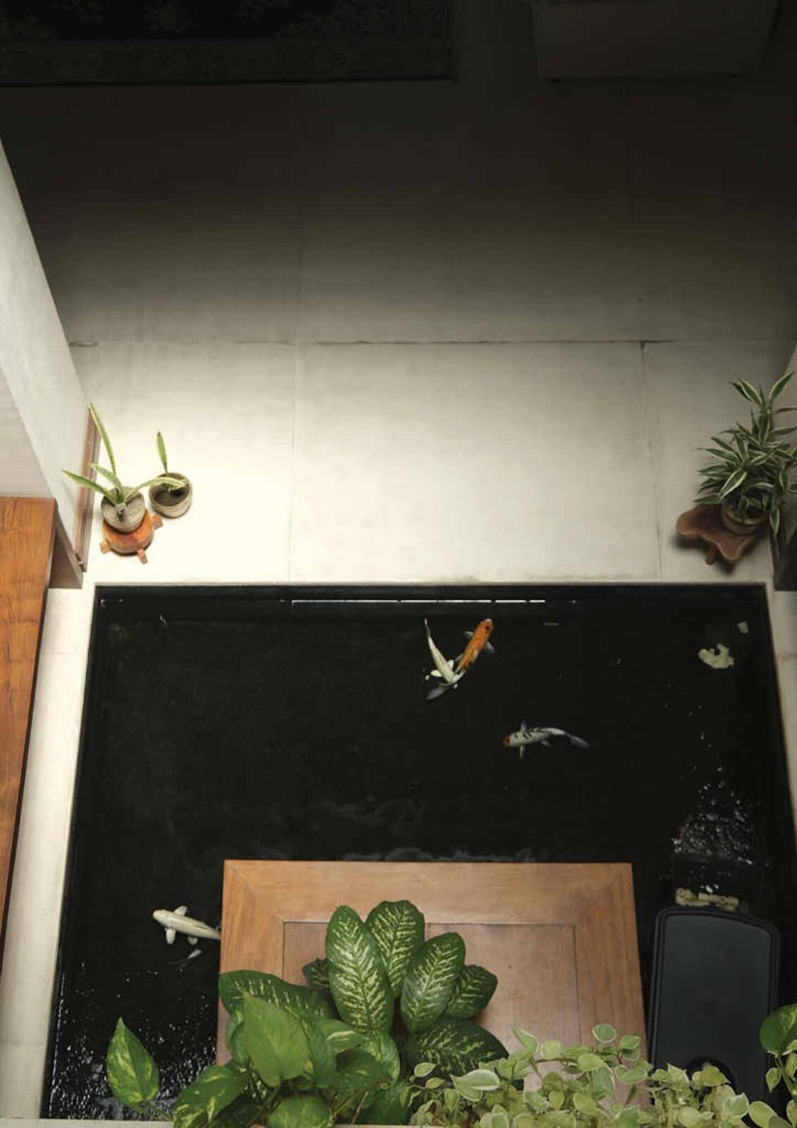 Liven Up the House with Indoor Water Features