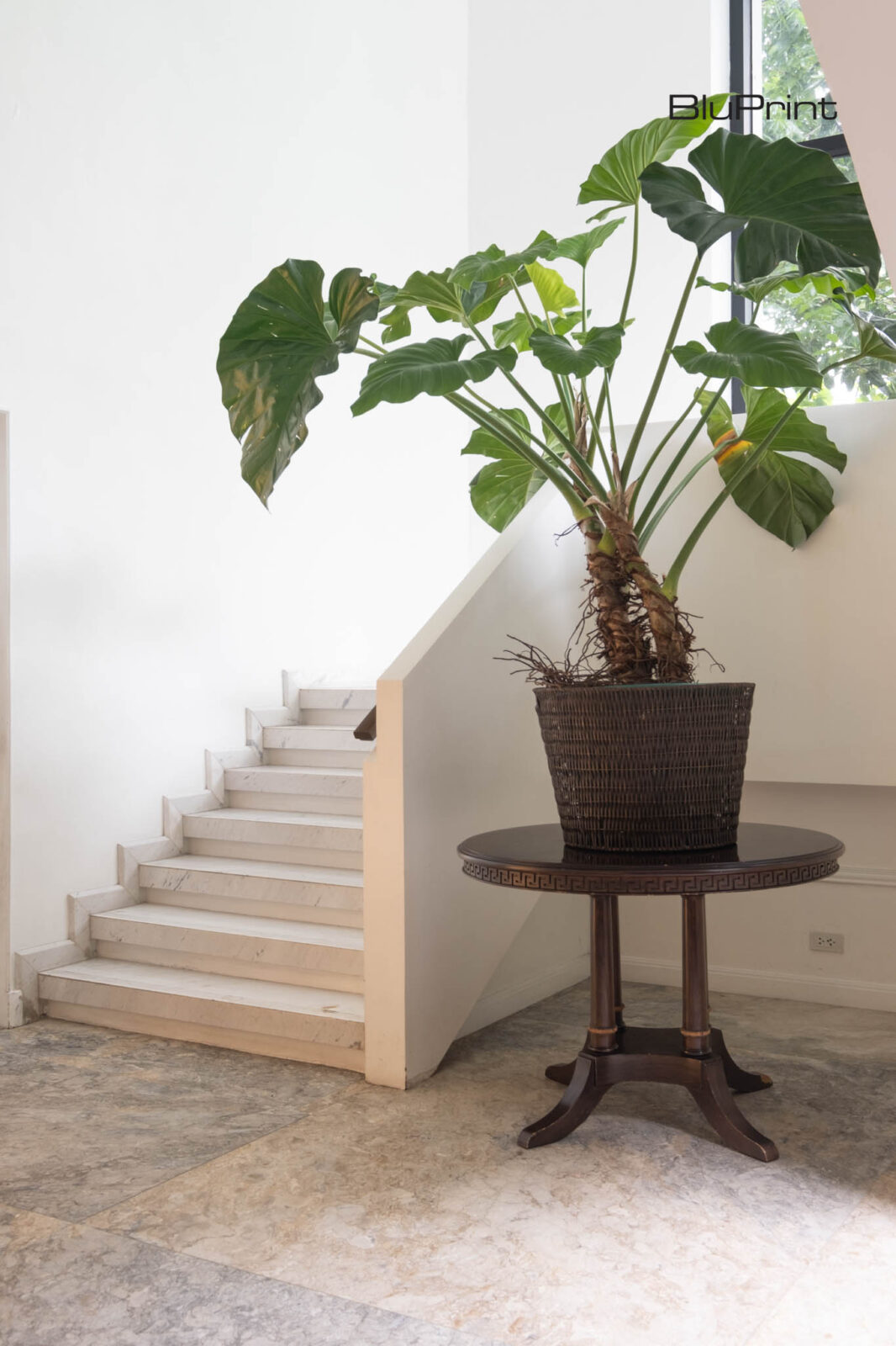 Jet Acuzar Designs With Memory and Function in Mind